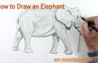 How to Draw a Giraffe - learn to draw this animal easily